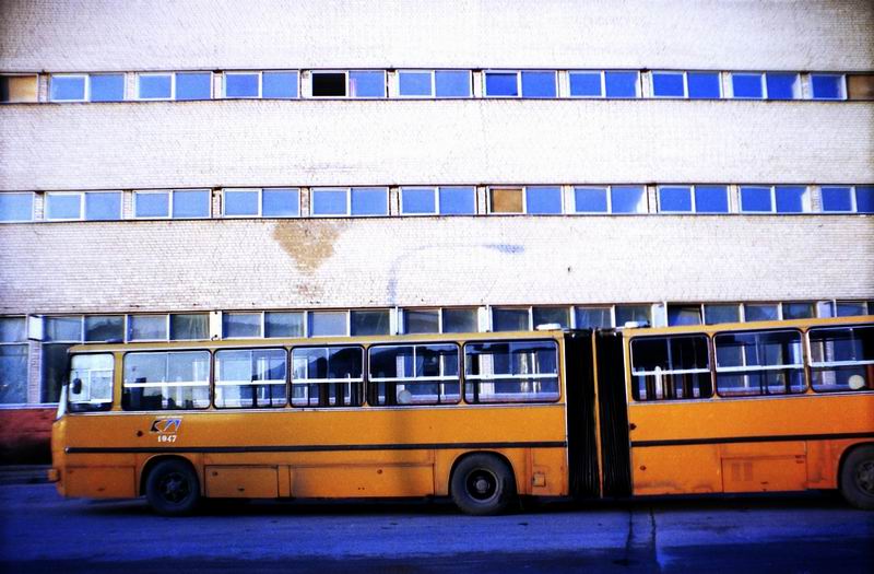 Bus Dream Meaning bus-dream-meaning