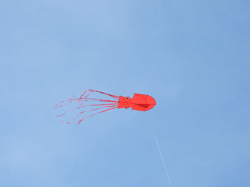 Kite Dream Meaning kite-dream-meaning
